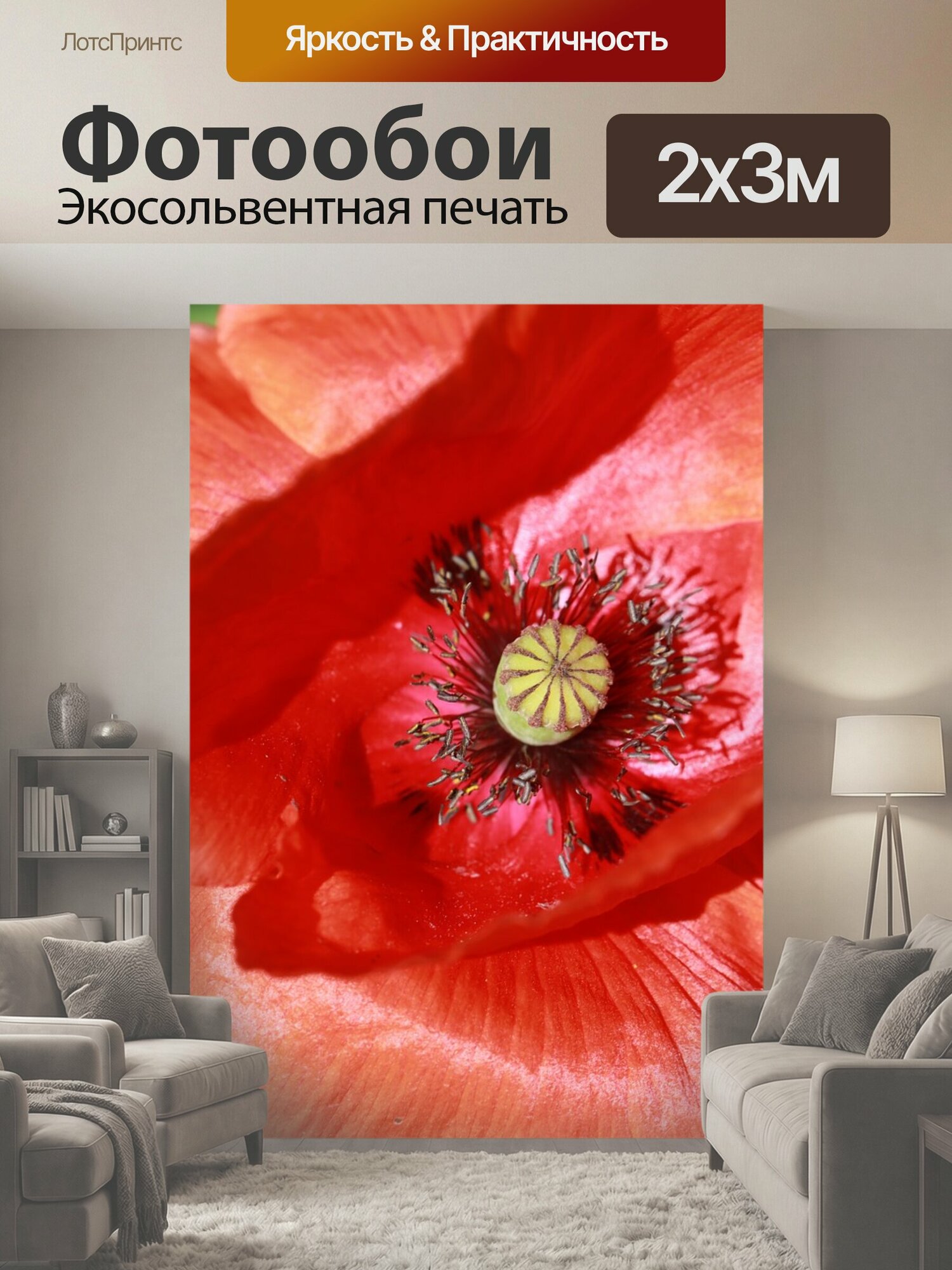 Фотообои "Цветок, мак, цвести" 200x300 см. экосольвентная печать