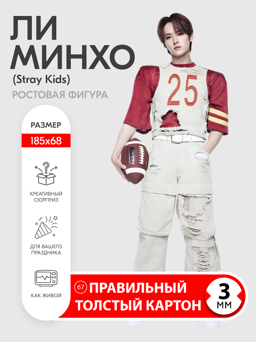 Аксессуар для фотосессий, самое это, Ли Минхо (Ли Ноу) (Stray Kids) 1, ростовая фигура