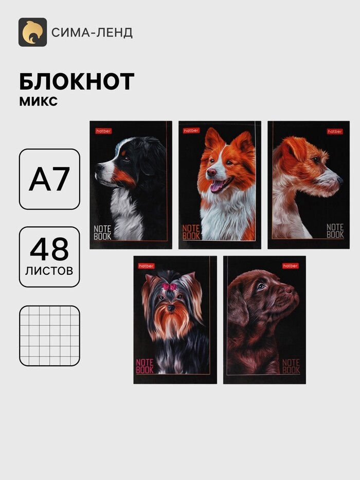 Блокнот А7, 48 листов в клетку, «Лучший друг», 60 г/м², на клею, 5 в микс