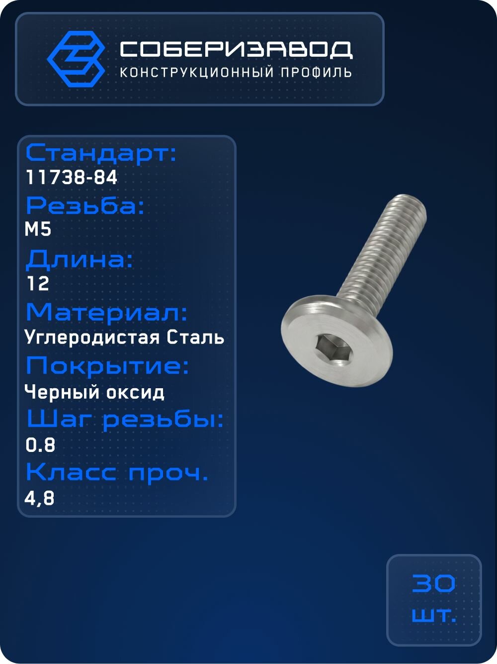 Винт с плоской головкой и внут. шестигранником M5х12, A230 / 30шт / соберизавод