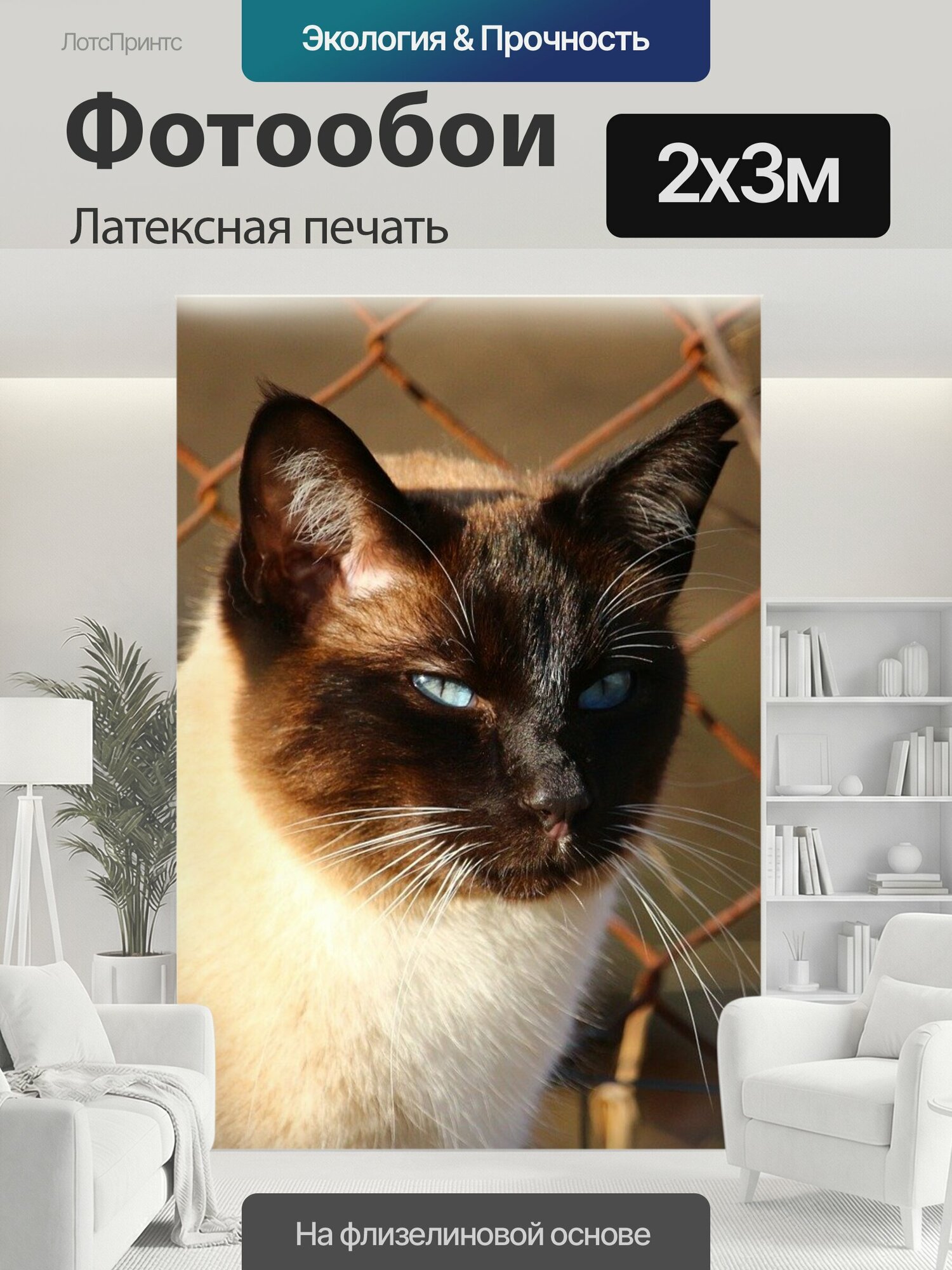 Фотообои моющиеся ударопрочные "Кот, сиамский, сиам" 200x300 см. латексная печать