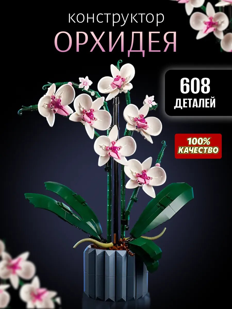 Конструктор Орхидея