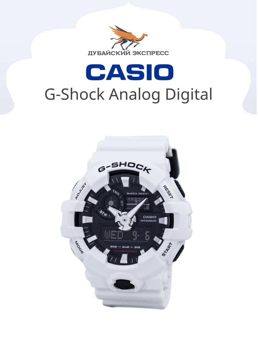  CASIO