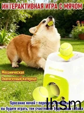 Специальный метатель мячей для собак. Автоматическая катапульта, 1 штука