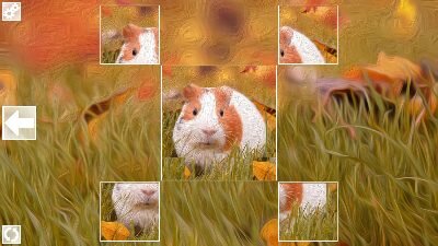 Puzzle Art: Rodents PC Steam Ключ • Активация Steam • регион Весь мир