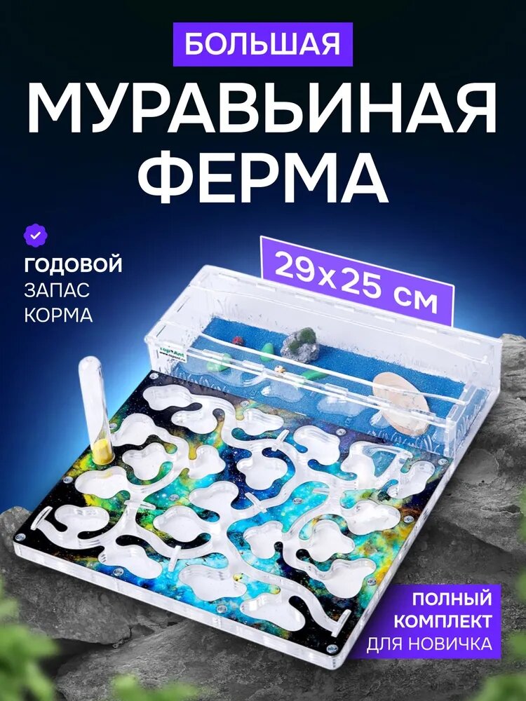 TopAnt Большая муравьиная ферма максимальный комплект формикарий для муравьев
