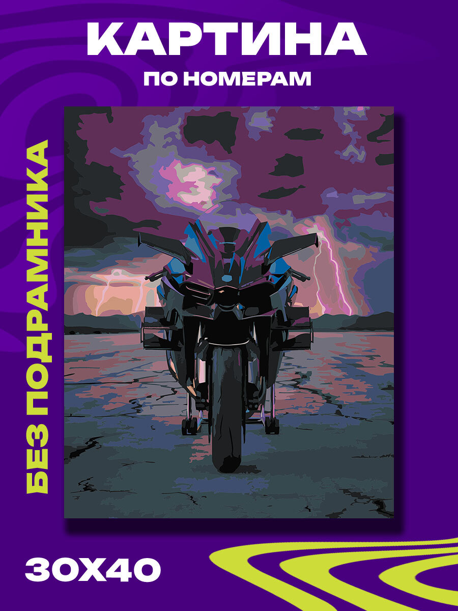 Картина по номерам Грозовая мощь Ninja H2R