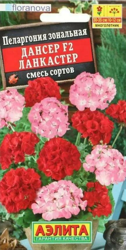 Семена пелагонии Аэлита Дансер ланкастер смесь, многолетняя, 5 шт