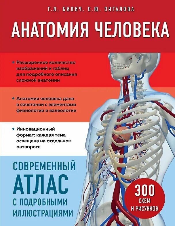 Анатомия человека. Современный атлас с подробными иллюстрациями
