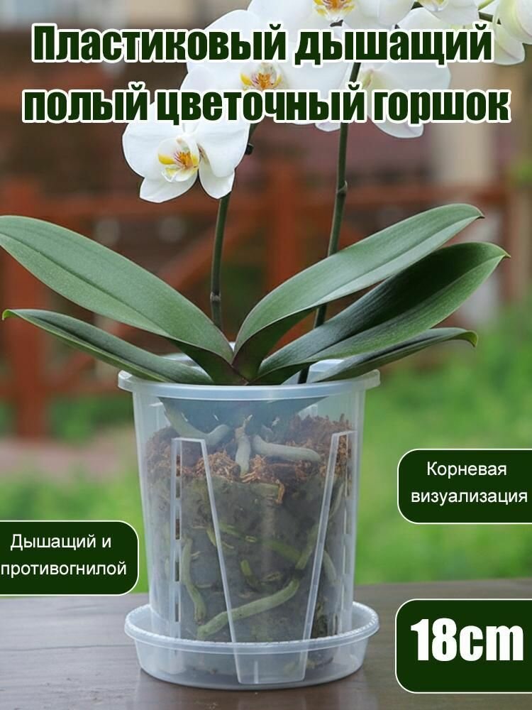 Горшок для орхидеи 10 шт/прозрачные (Цвет товара: прозрачный; Объем: 2.79 л)
