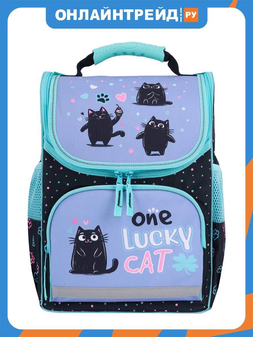 Ранец Пифагор 273135 BASIC Funny cats 35х28х18 см