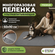 Аксессуар для питомцев