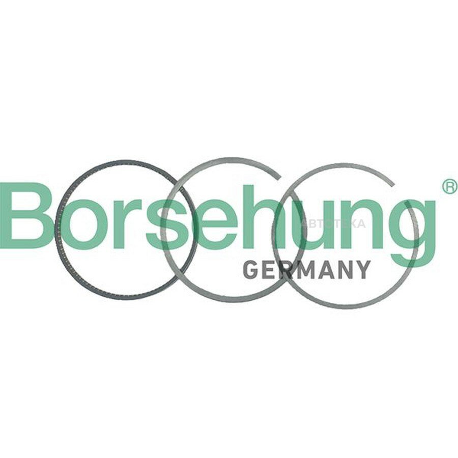 Кольца поршневые (к-кт на 1 поршень) dm.81.00 STD [1.0-1.2-2.0] 1 ПОР. BORSEHUNG B19035 AUDI A3/ VW Bora/Golf/Jetta/NewBettle/Passat/Touran/ SKODA Octavia 1.6 00->