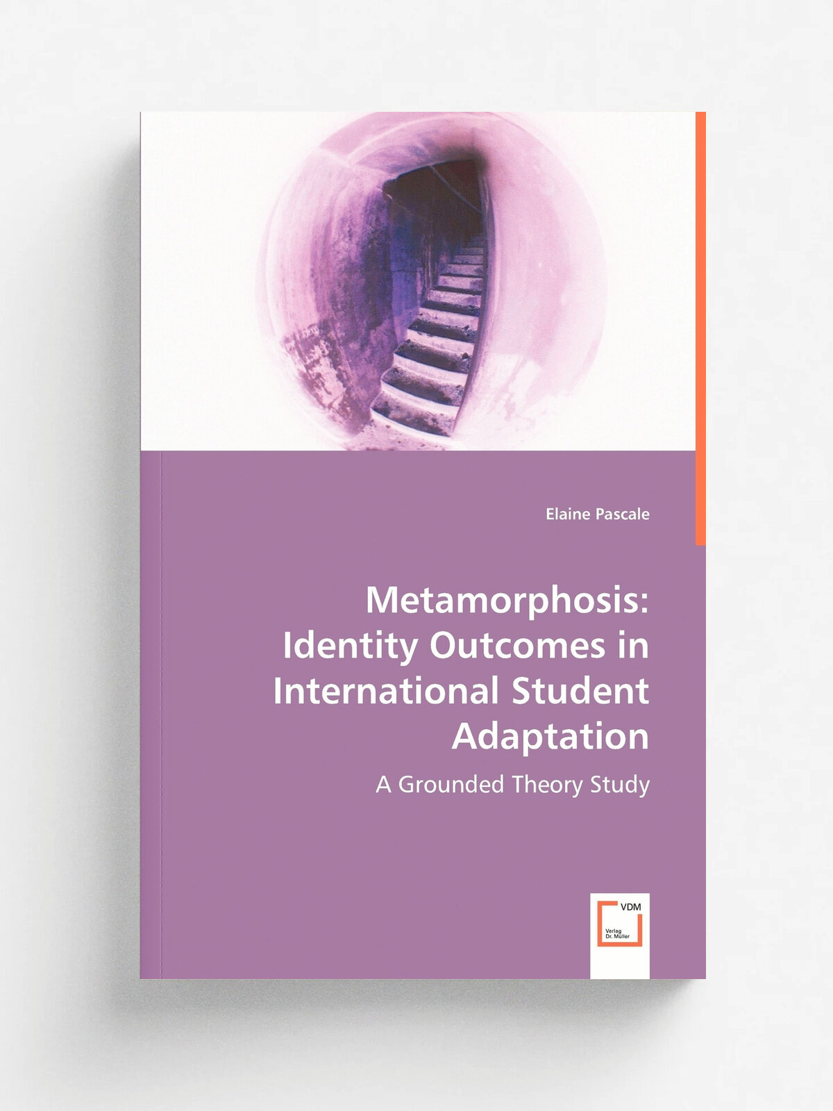 Metamorphosis. Identity Outcomes in International Student Adaptation