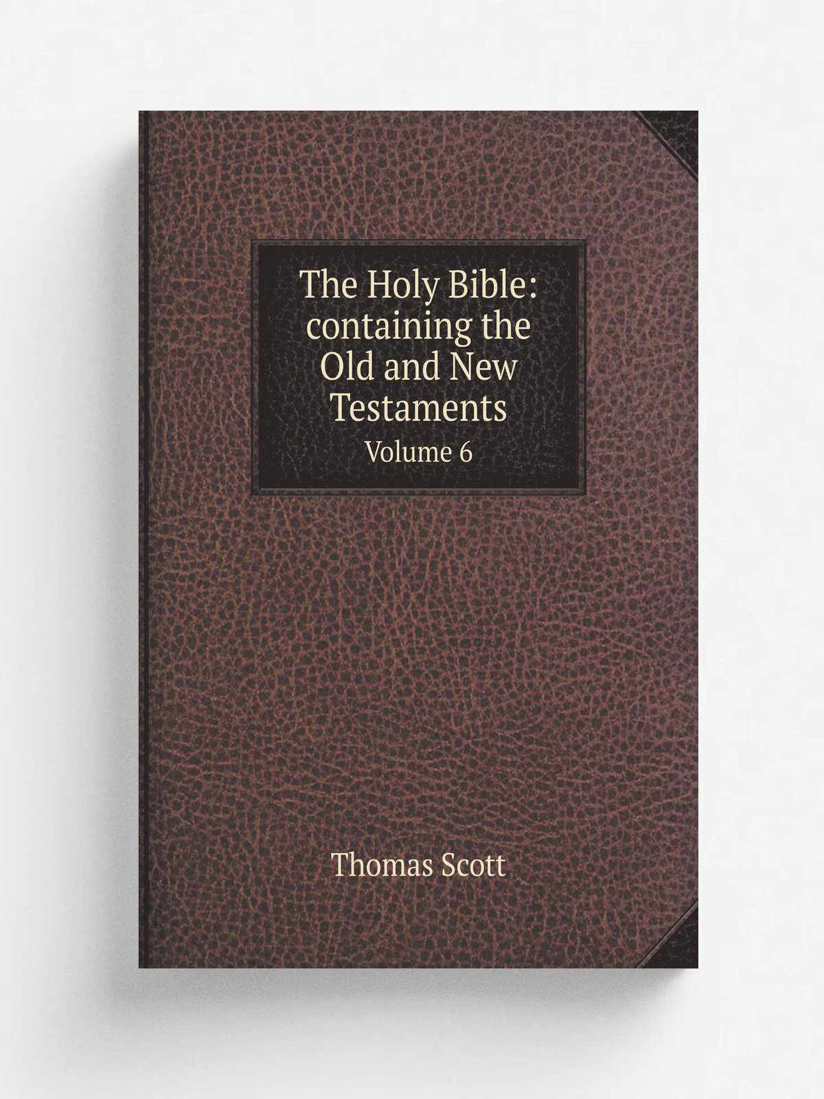 The Holy Bible: containing the Old and New Testaments. Volume 6