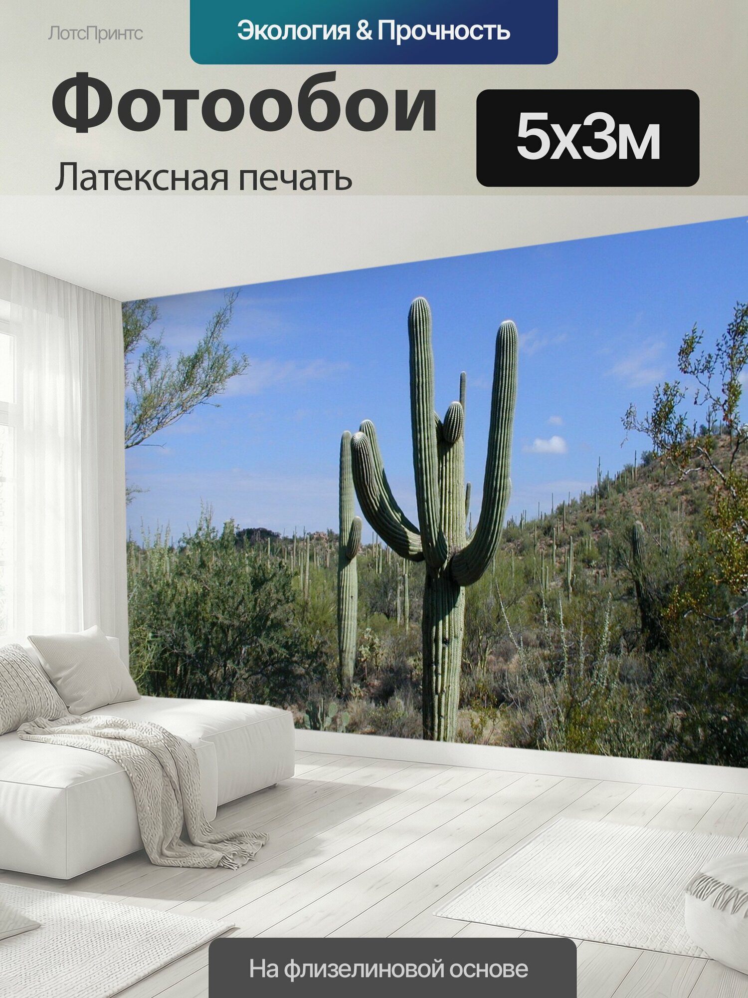 Фотообои моющиеся ударопрочные "Сагуаро, кактус, кактусы" 500x300 см. латексная печать