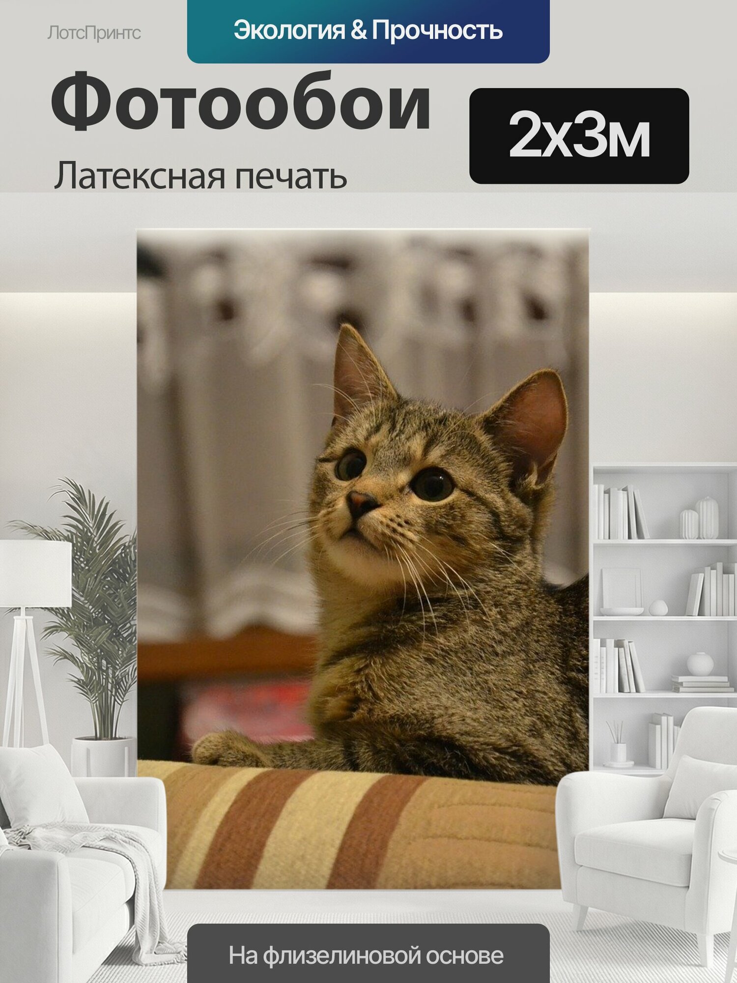 Фотообои моющиеся ударопрочные "Кошка, котенок, tomcat" 200x300 см. латексная печать