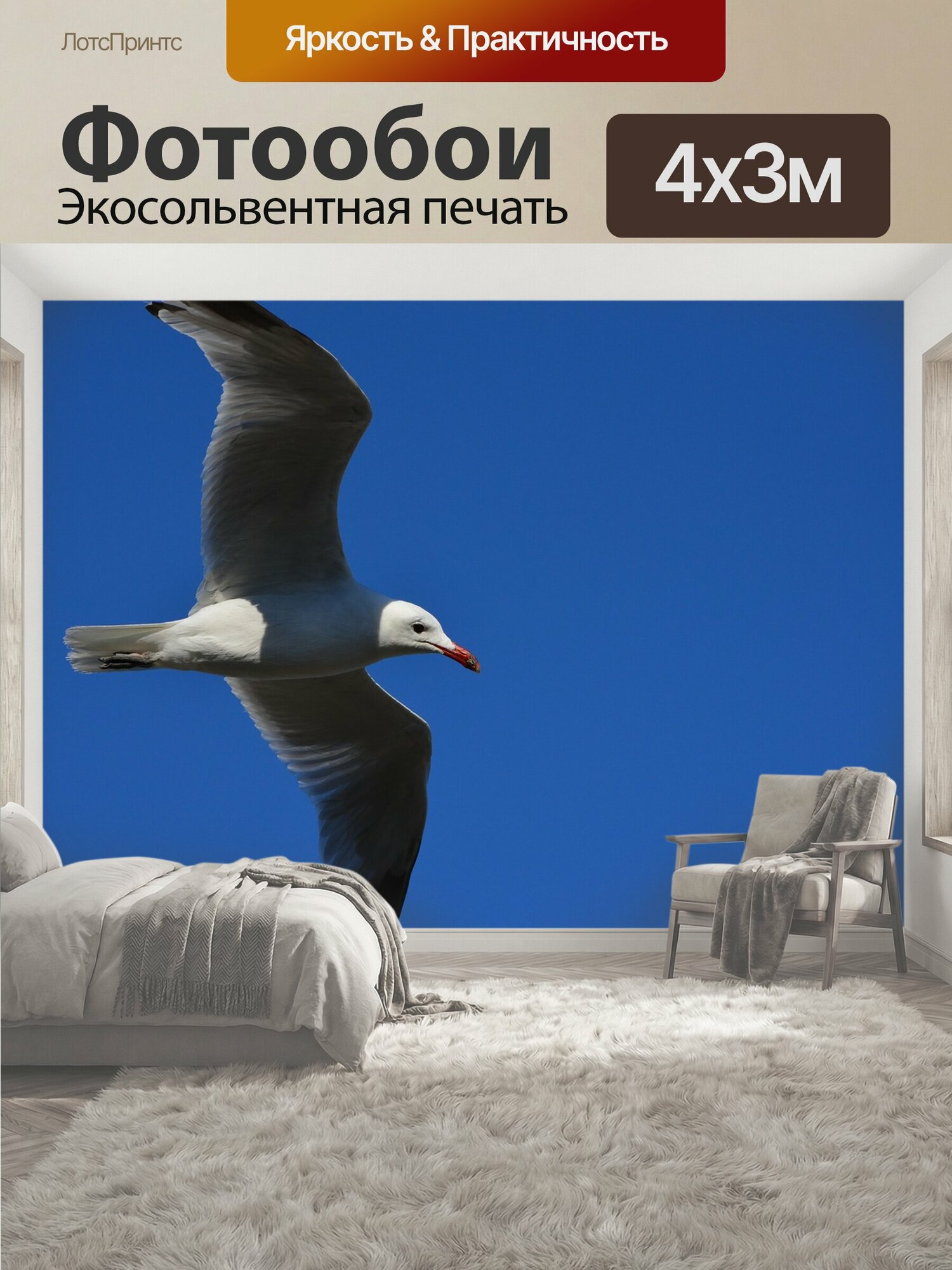 Фотообои "Чайка, птица, летающий" 400x300 см. экосольвентная печать