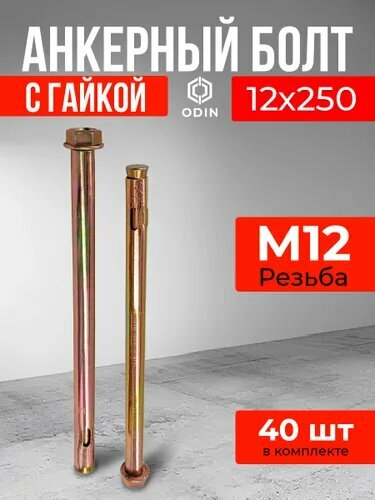 Анкерный болт с гайкой 12 х 250 мм ODIN 40 штук, резьба М12