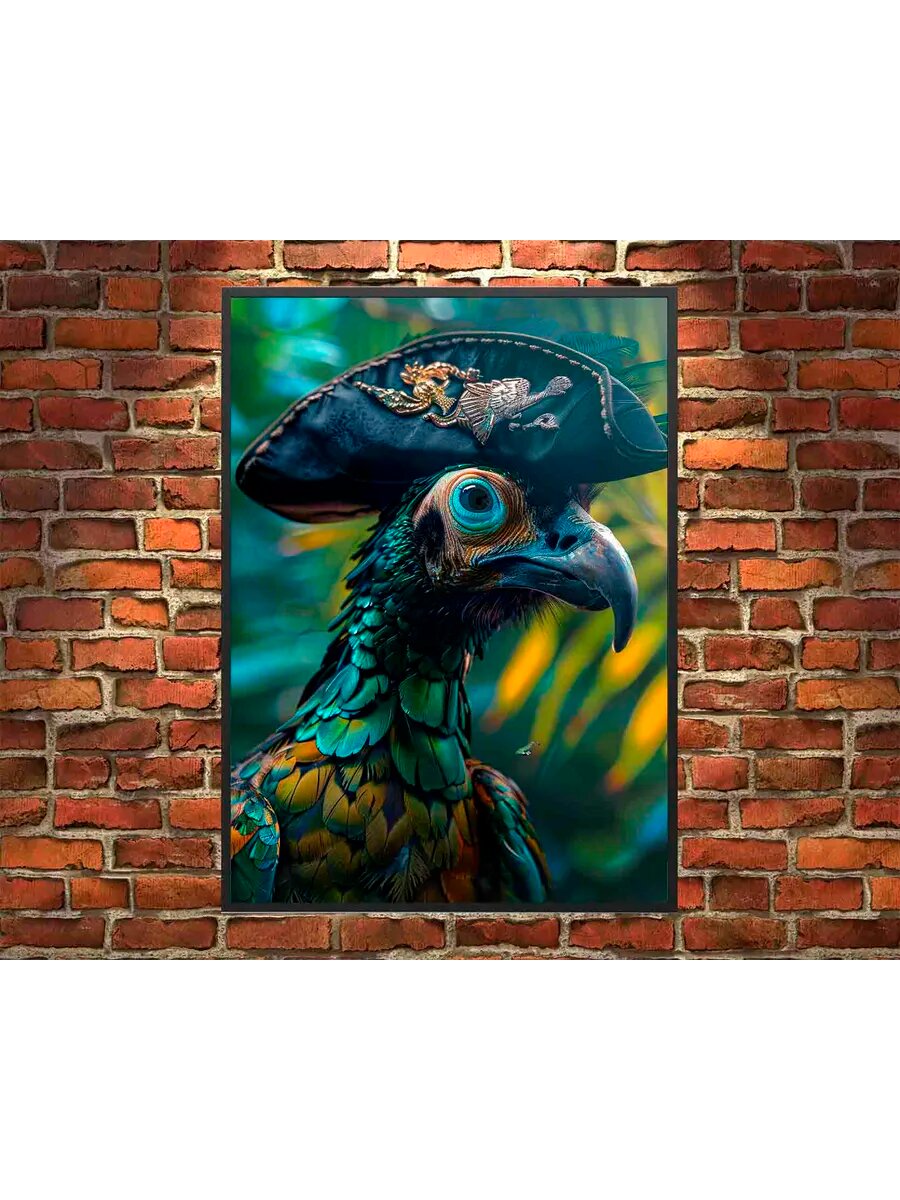 Пират-павлинья птица 2, Плакат 30x42см
