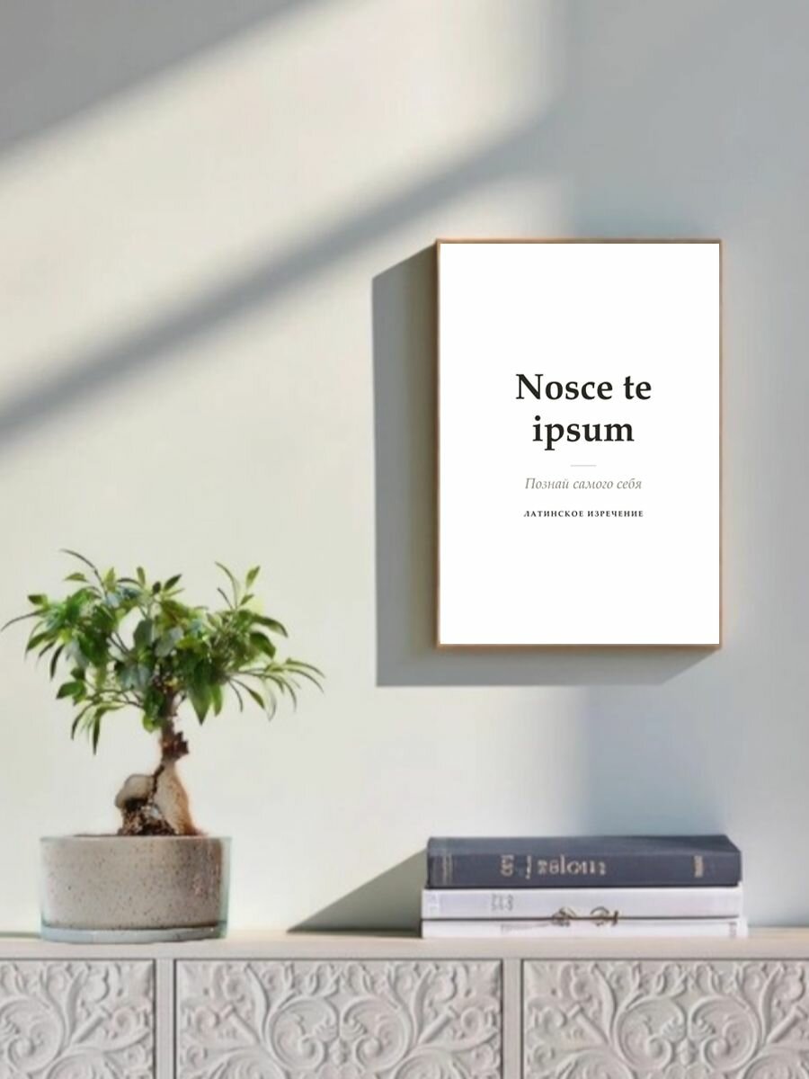 Постер латинское изречение Nosce te ipsum А3 30 42 см интерьерный декор