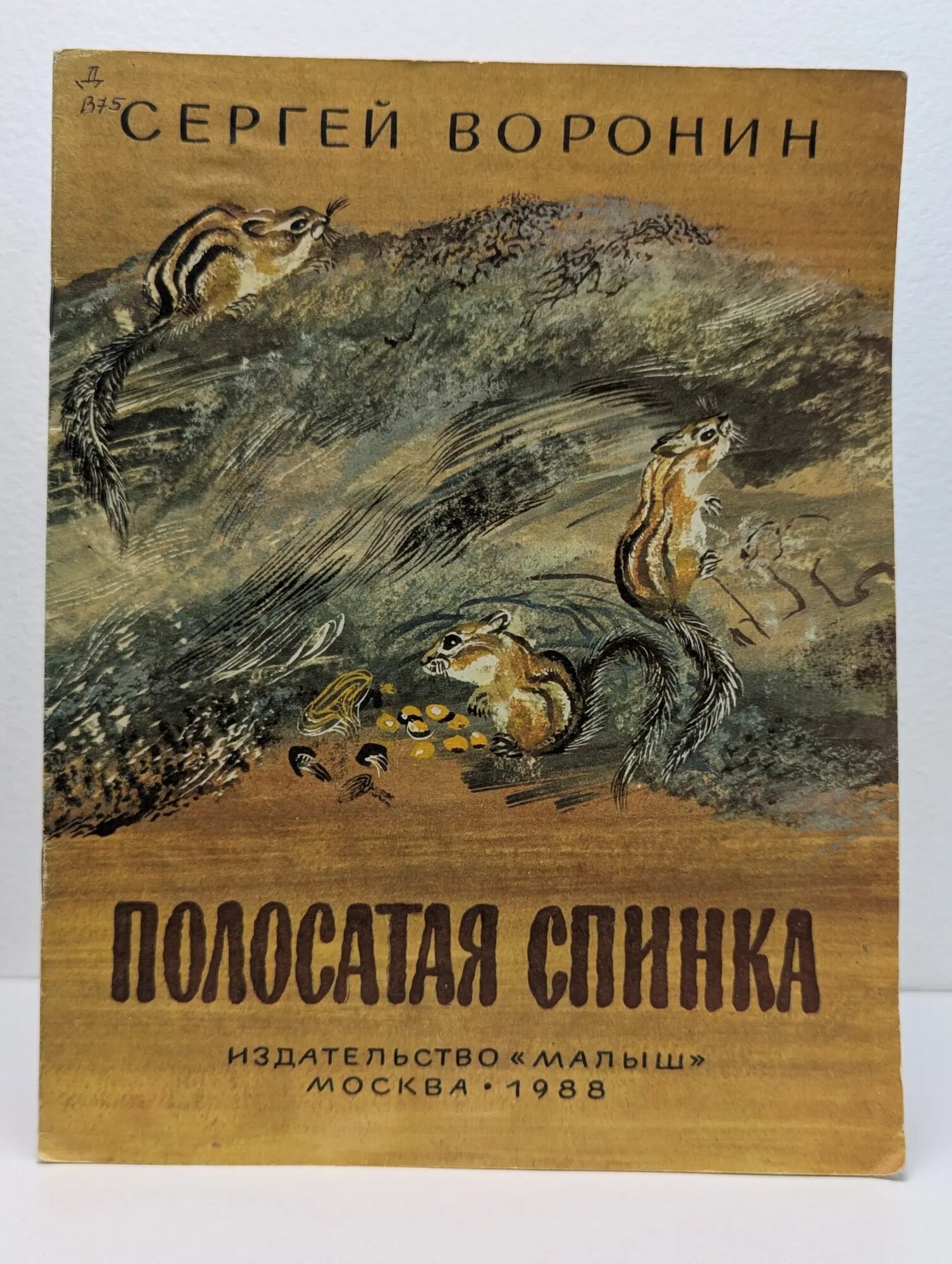 Полосатая спинка Воронин Сергей Алексеевич 1988