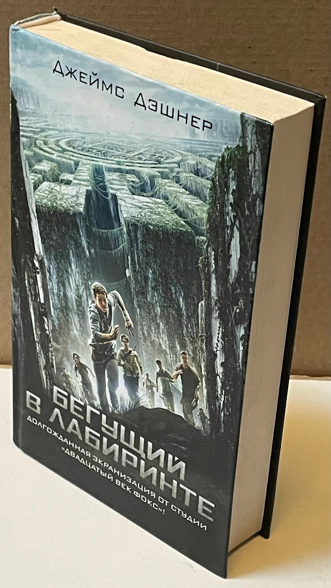 Бегущий в Лабиринте — фото 1