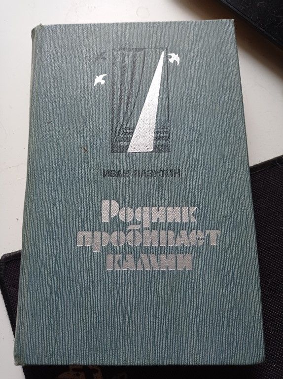 Родник пробивает камни. Лазутин Иван.