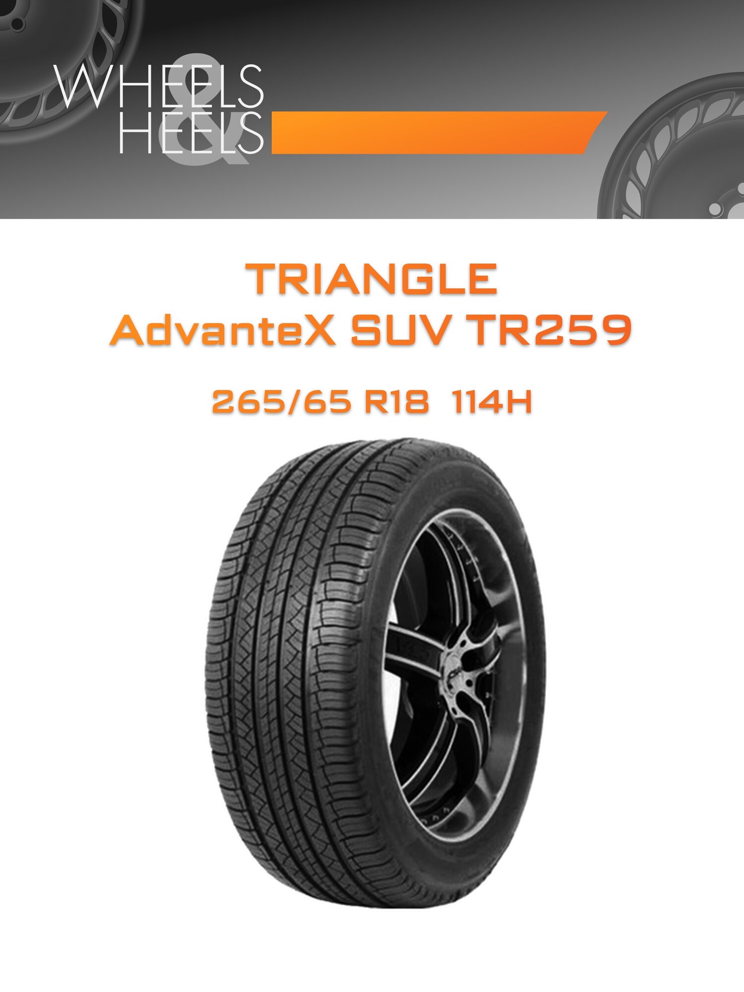 Шина автомобильная Triangle AdvanteX SUV TR259 SUV 265/65 R18 114H SUMMER, летняя, универсальная
