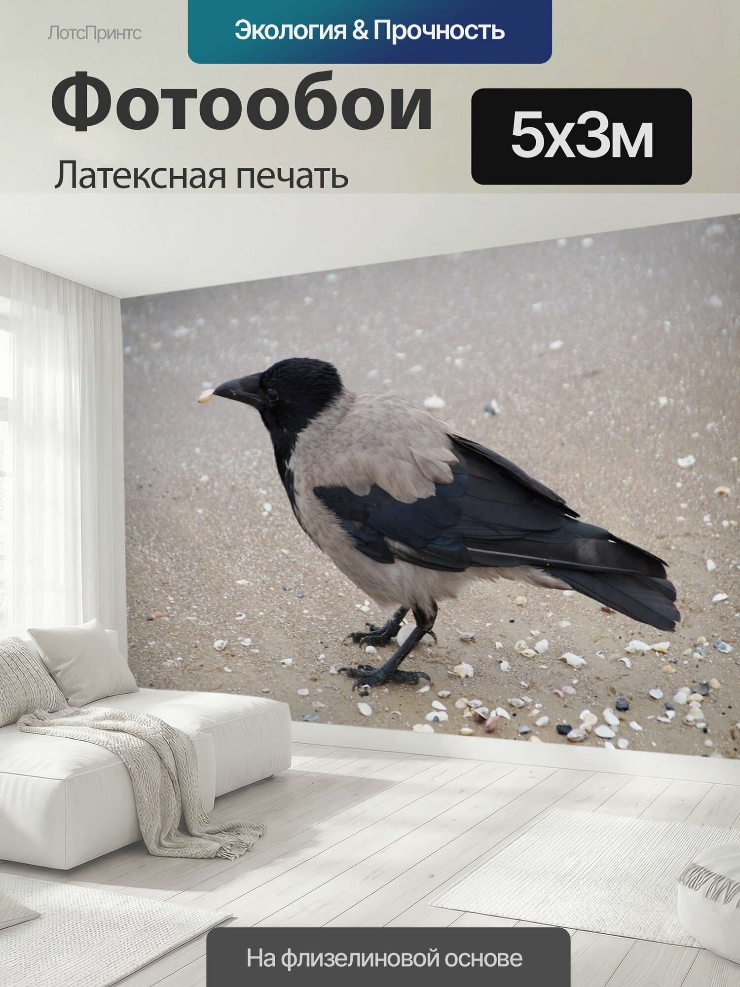 Фотообои моющиеся ударопрочные "Ворона, серая ворона, пляж" 500x300 см. латексная печать