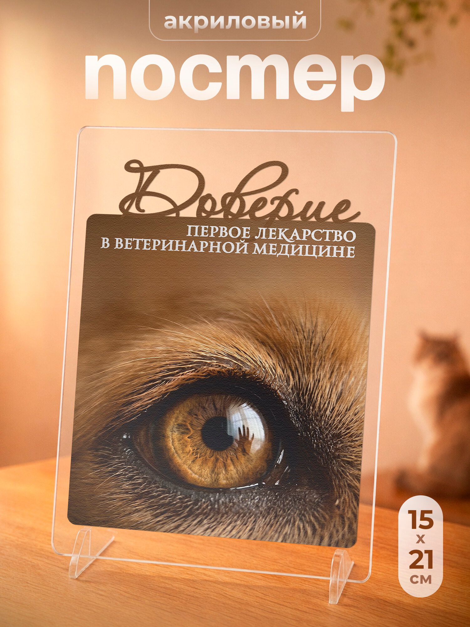 Постер ветеринару