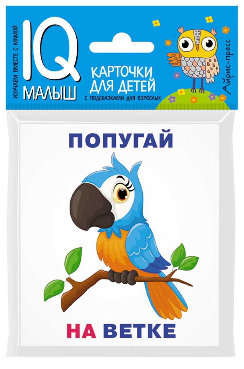 Ходюшина Н. П. Кто где находится? Комплект односторонних карточек. Айрис - Активный тренинг. Умный малыш.