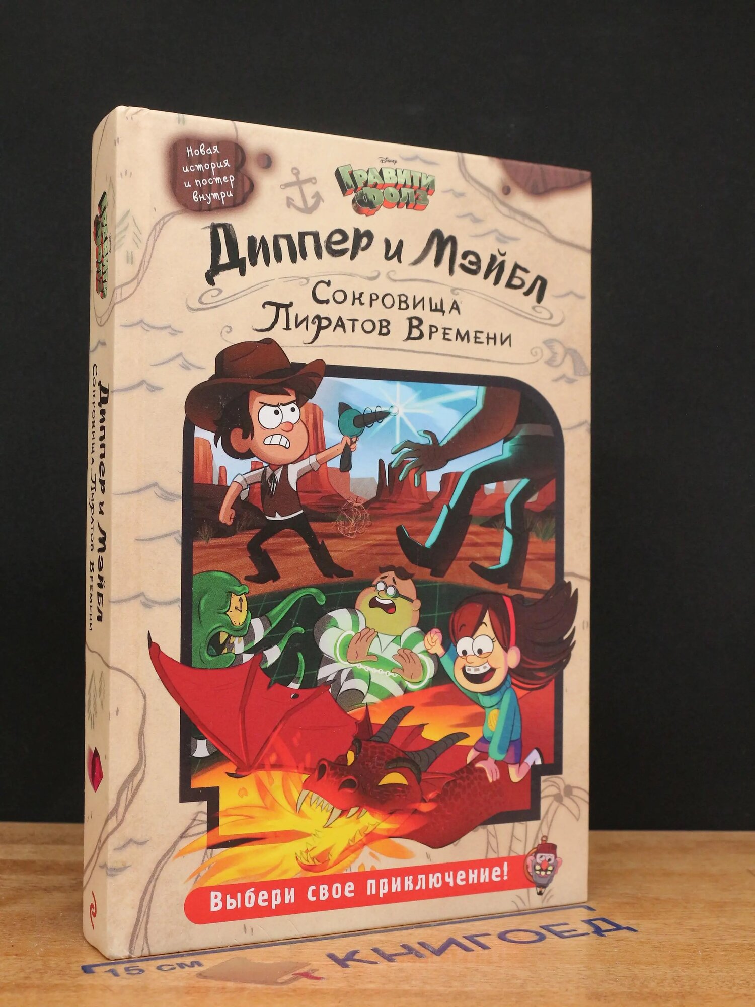 Книга. Диппер и Мэйбл. Сокровища Пиратов Времени 2017 (20373946693634)