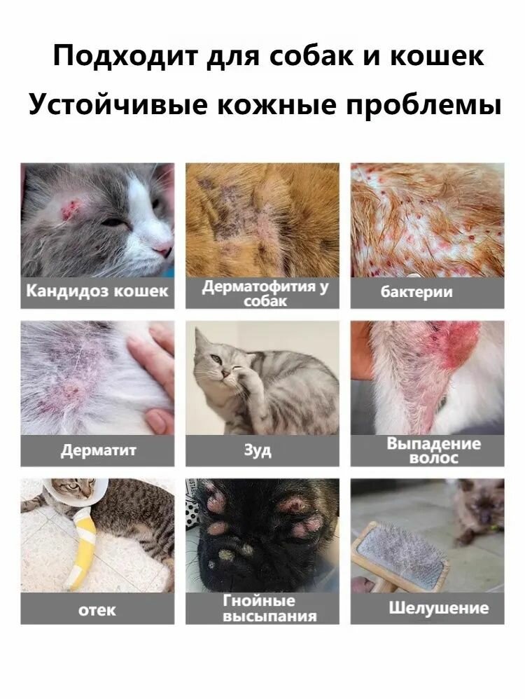 Косметика для животных — фото 1