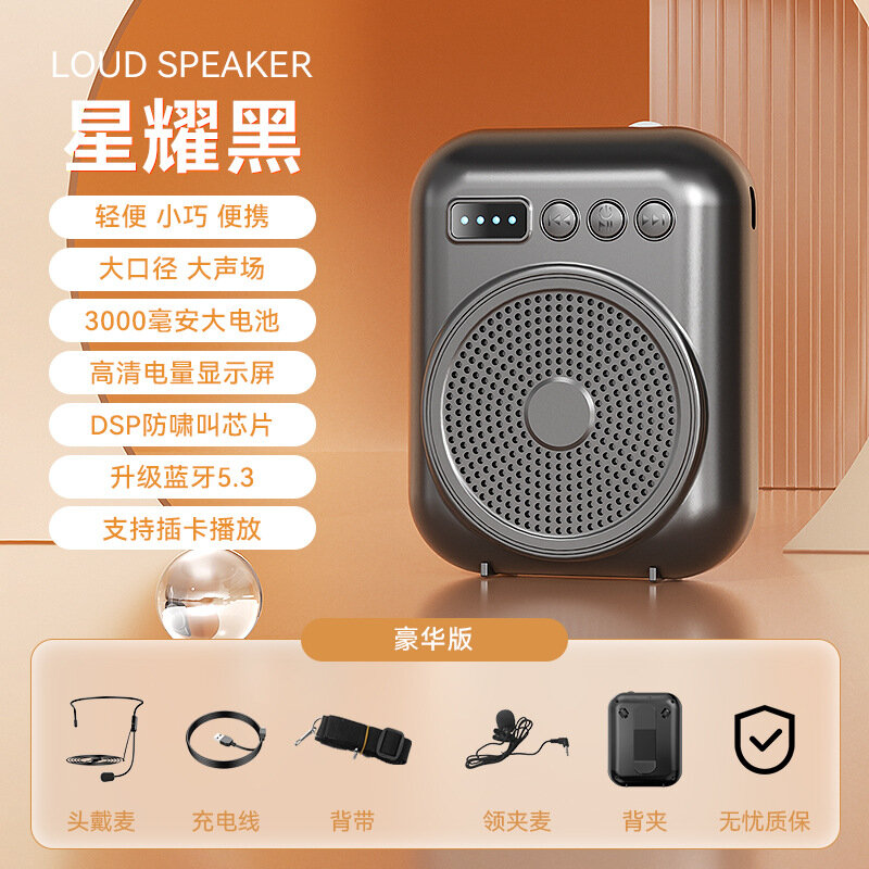 Усилитель Little Bee для учителей, Bluetooth-микрофон, громкоговоритель для учителей, наушники для преподавания, гид-динамик