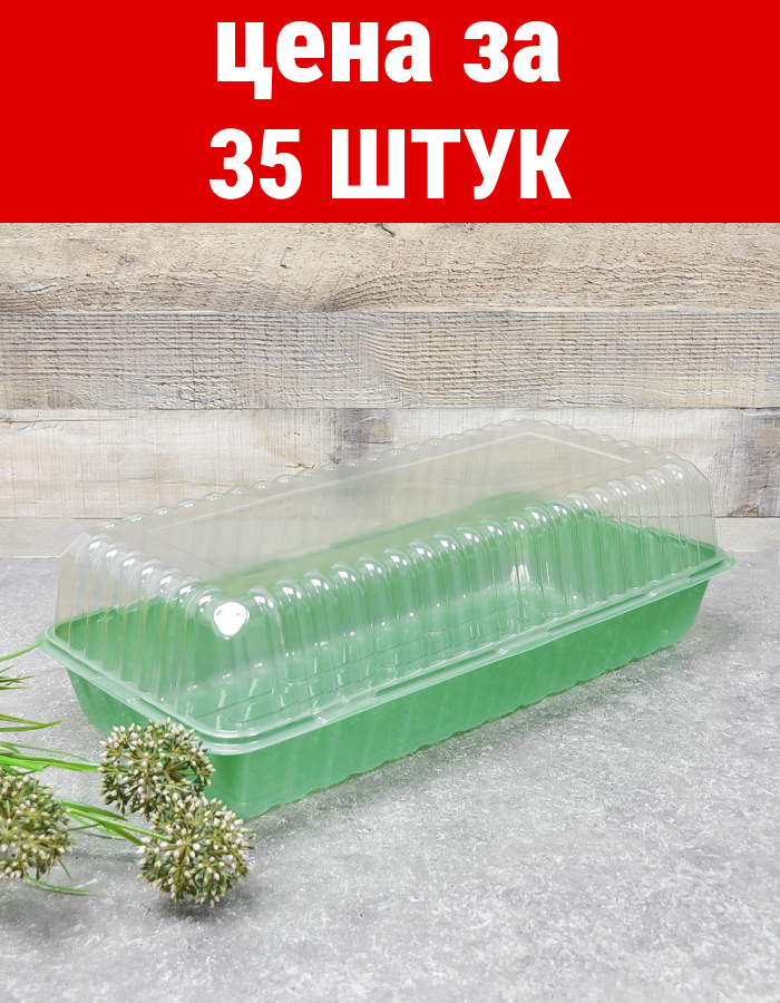 Комплект 35 шт, Парник для рассады 3 места, 44*22*6.5см (ВЗ*300, ДЗ*150)