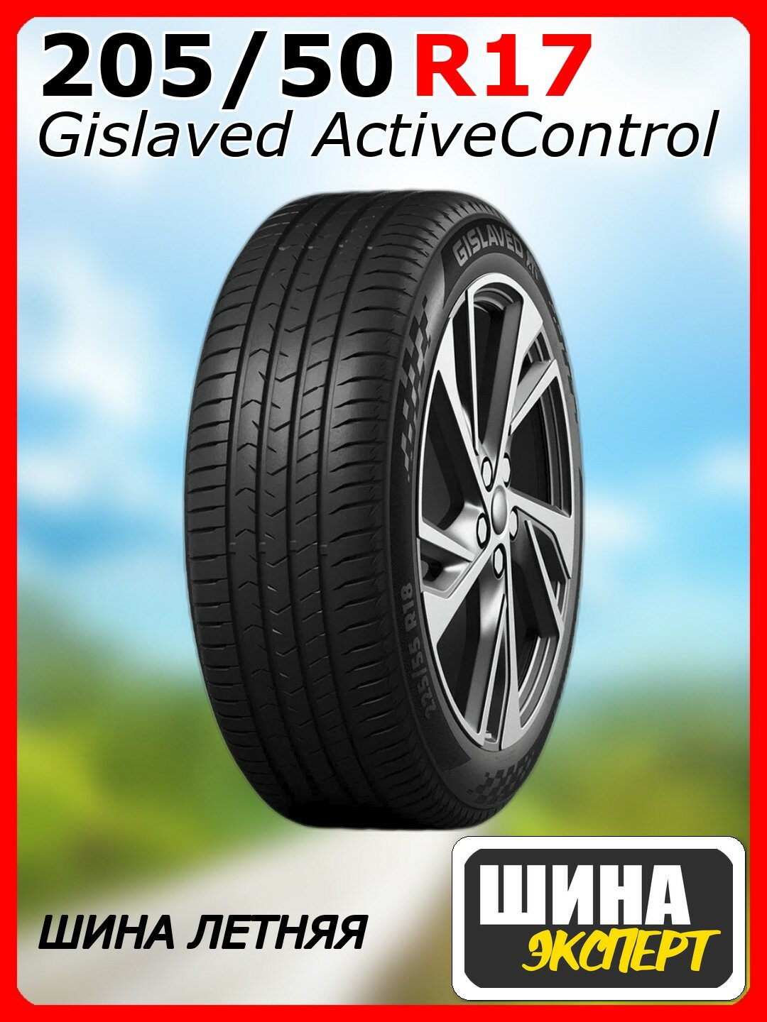 Шина летняя Gislaved 205/50/17 W 93 ActiveControl для легковых автомобилей 16100120261