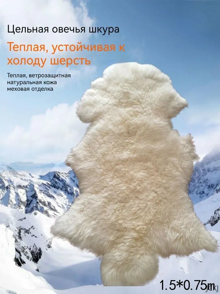 Шкура