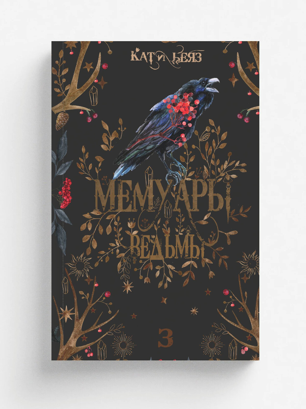 Мемуары Ведьмы 3