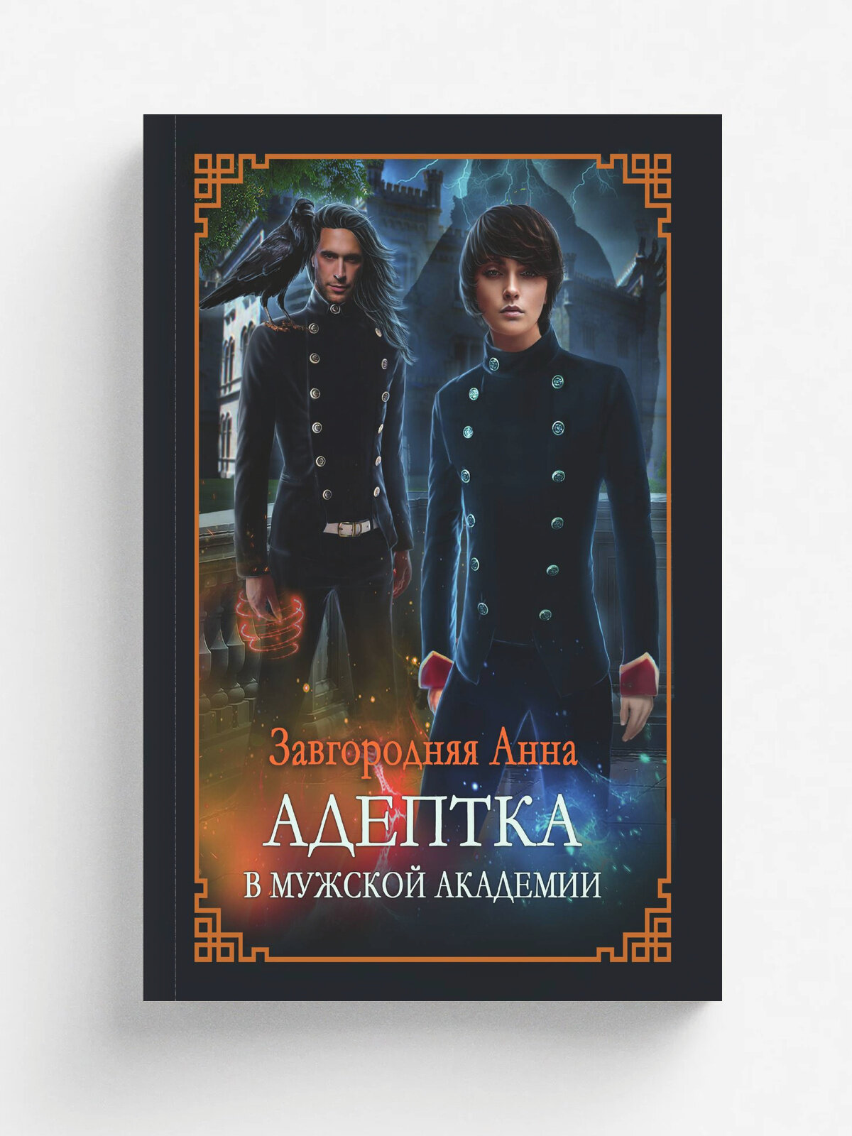 Адептка в мужской академии