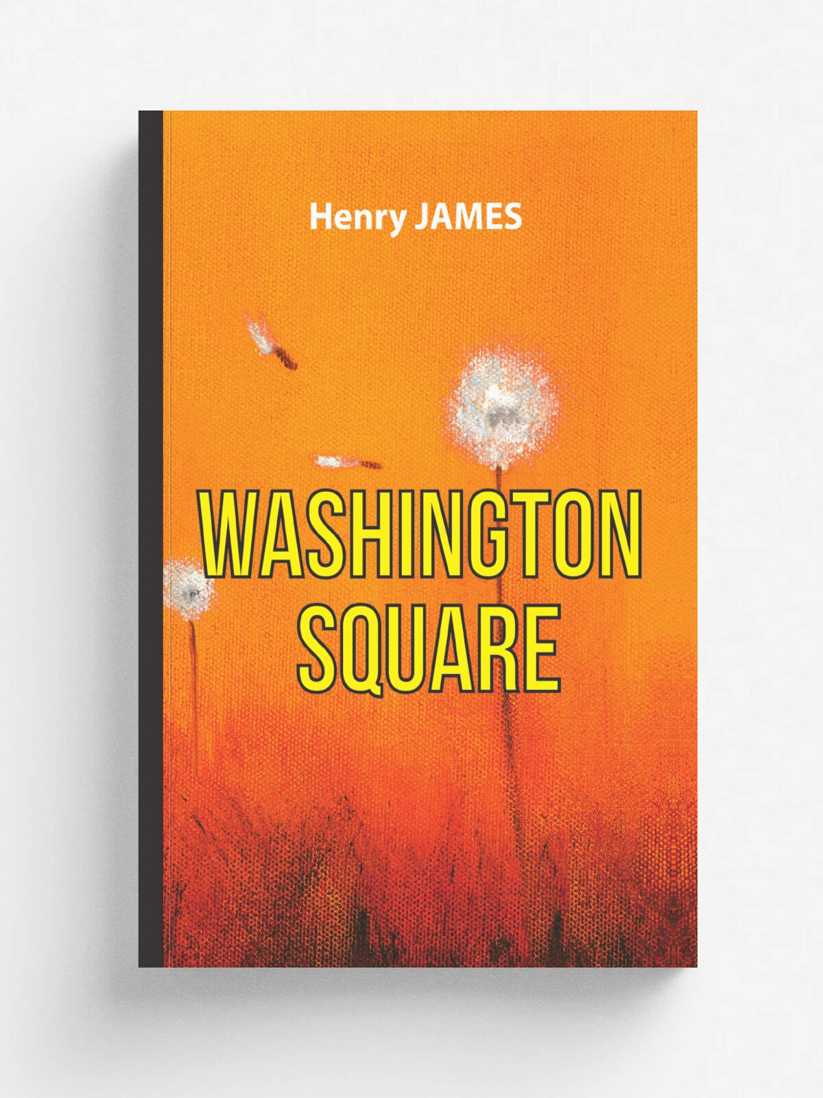 Washington Square / Вашингтонская площадь. Роман