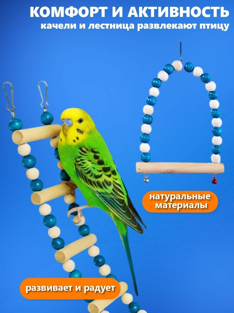Животный вольер — фото 1