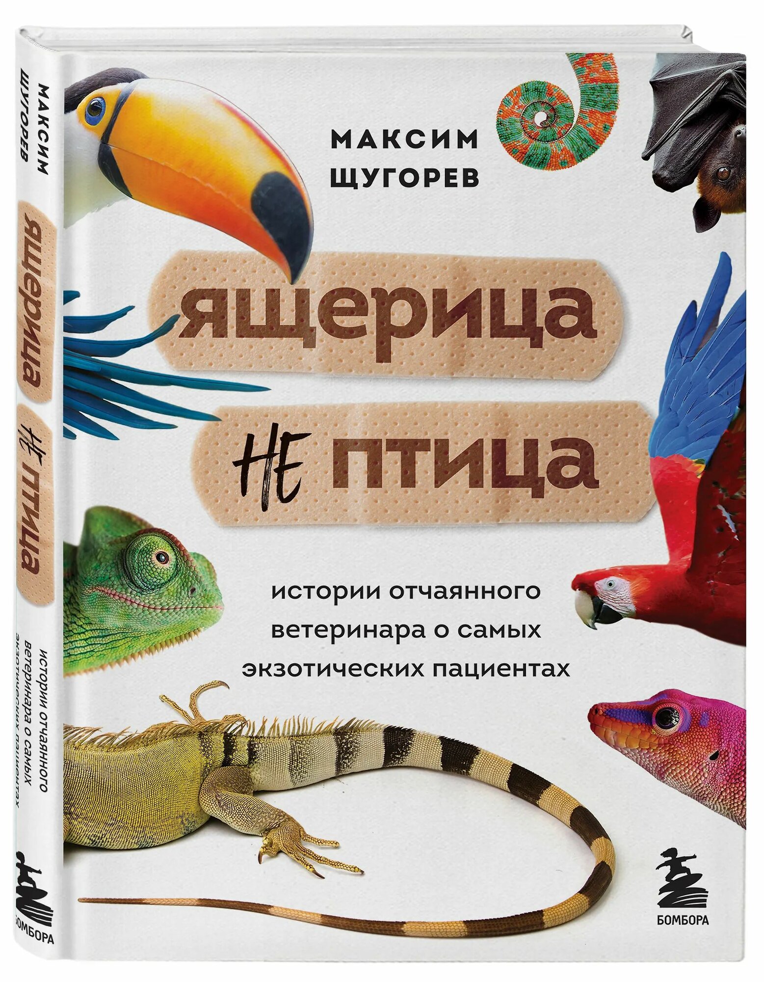 Ящерица не птица. Истории отчаянного ветеринара о самых экзотических пациентах