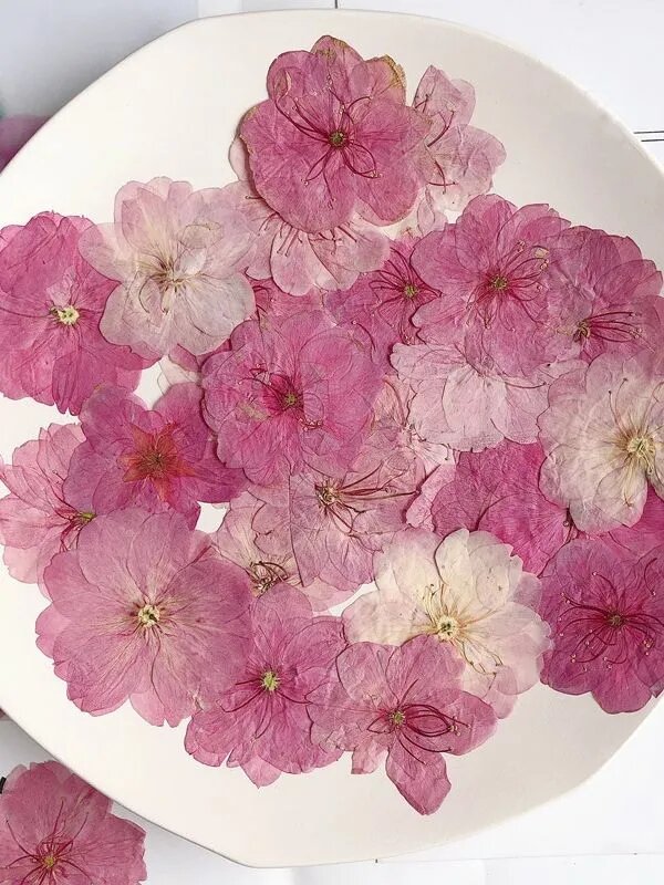 Сухоцветы для ногтей 2 цветов 12 шт, сушеные цветы для эпоксидной смолы