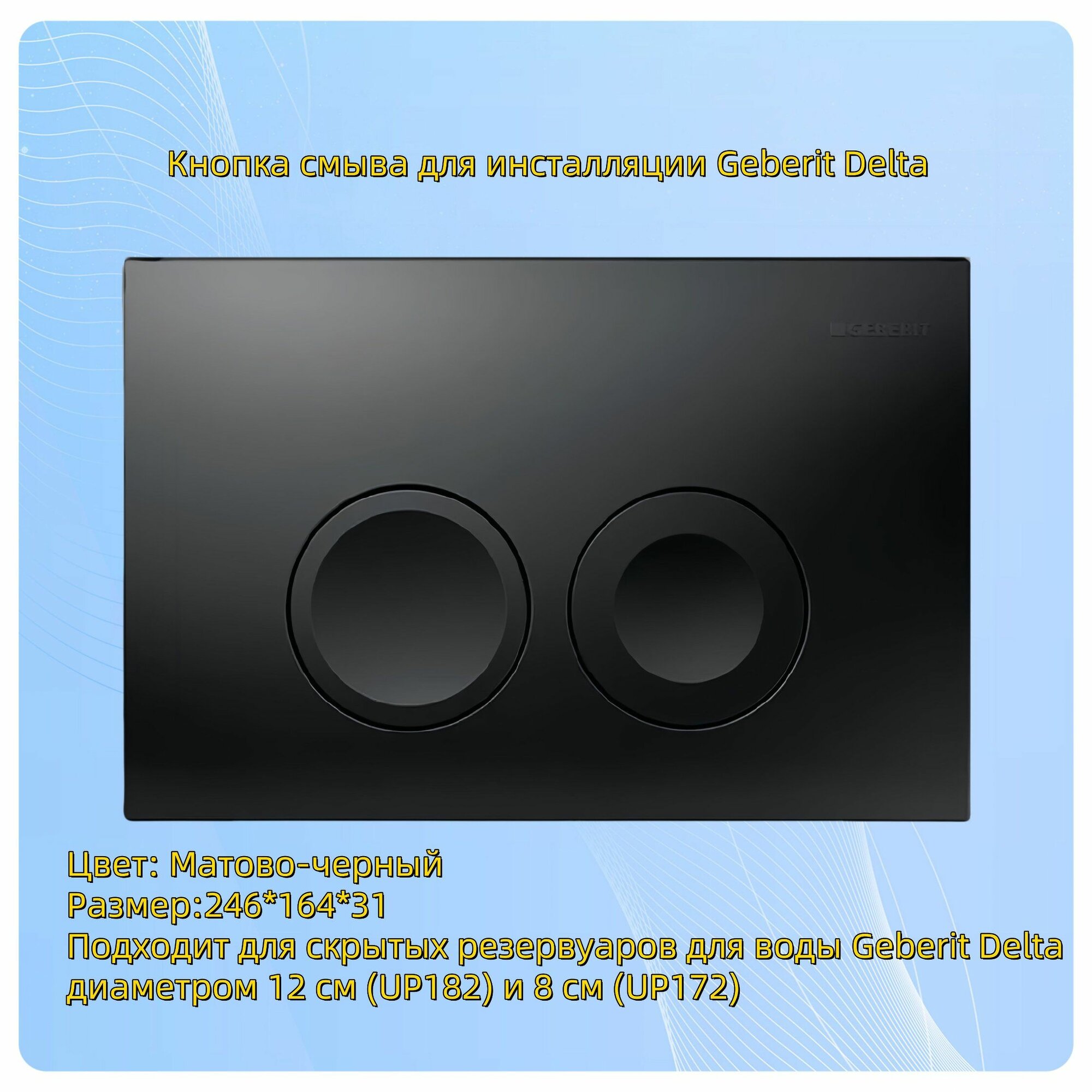 Смывная панель Geberit Delta 21 246*164 мм, черное