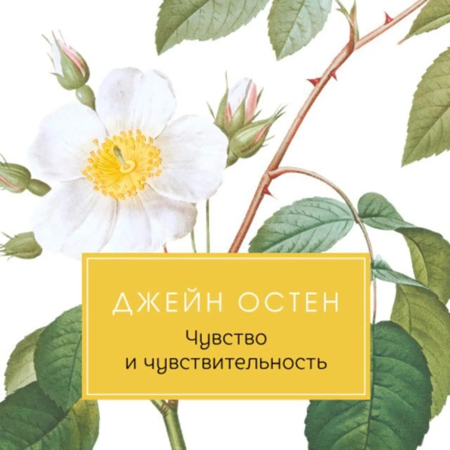 Чувство и чувствительность [Аудиокнига]