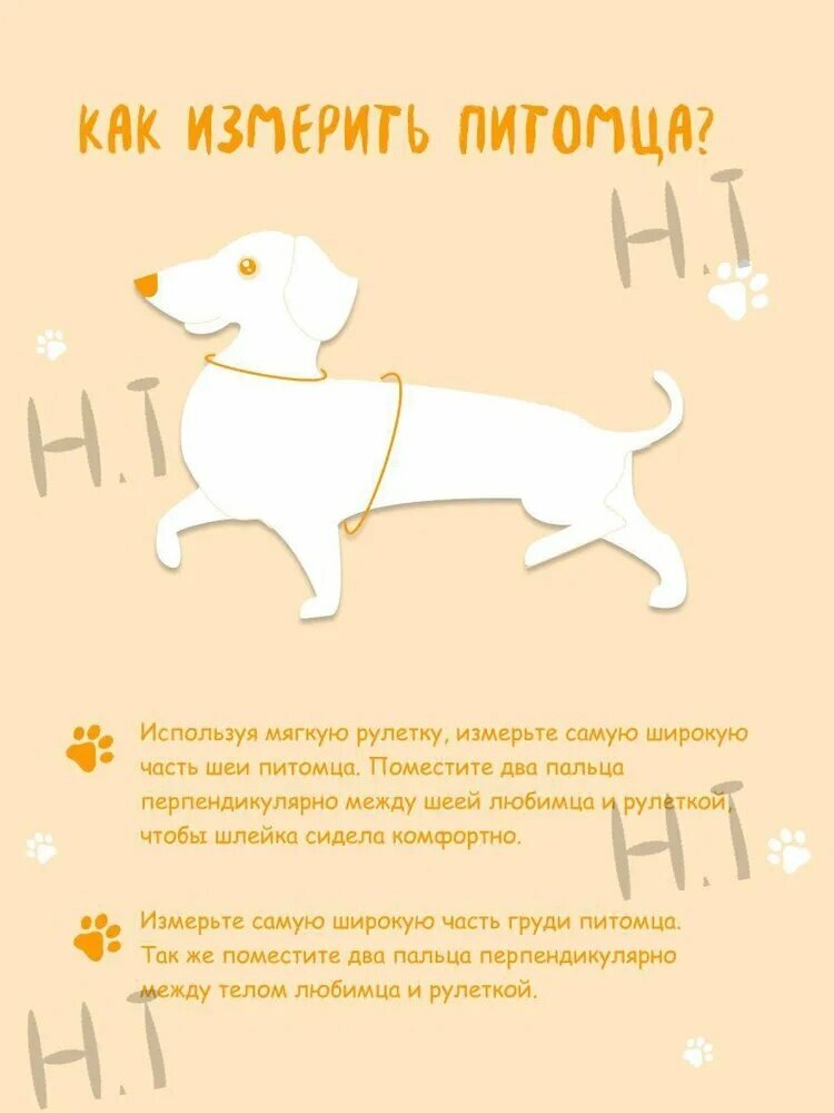 Шлейка--HJ, Шлейка для собак мелких пород, удобная амуниция для прогулок и повседневного использования — фото 1