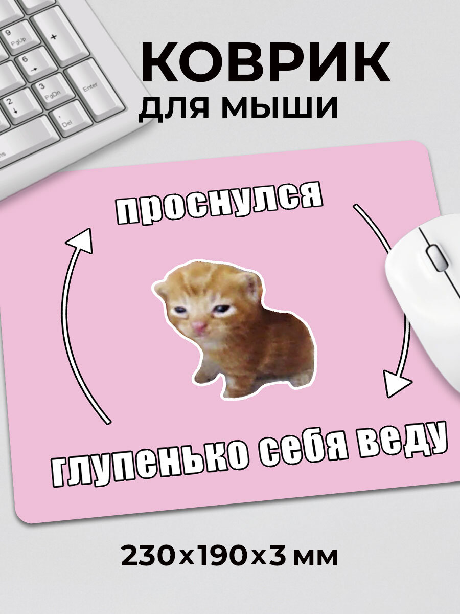 Коврик для мышки с приколом мем Глупый котик проснулся