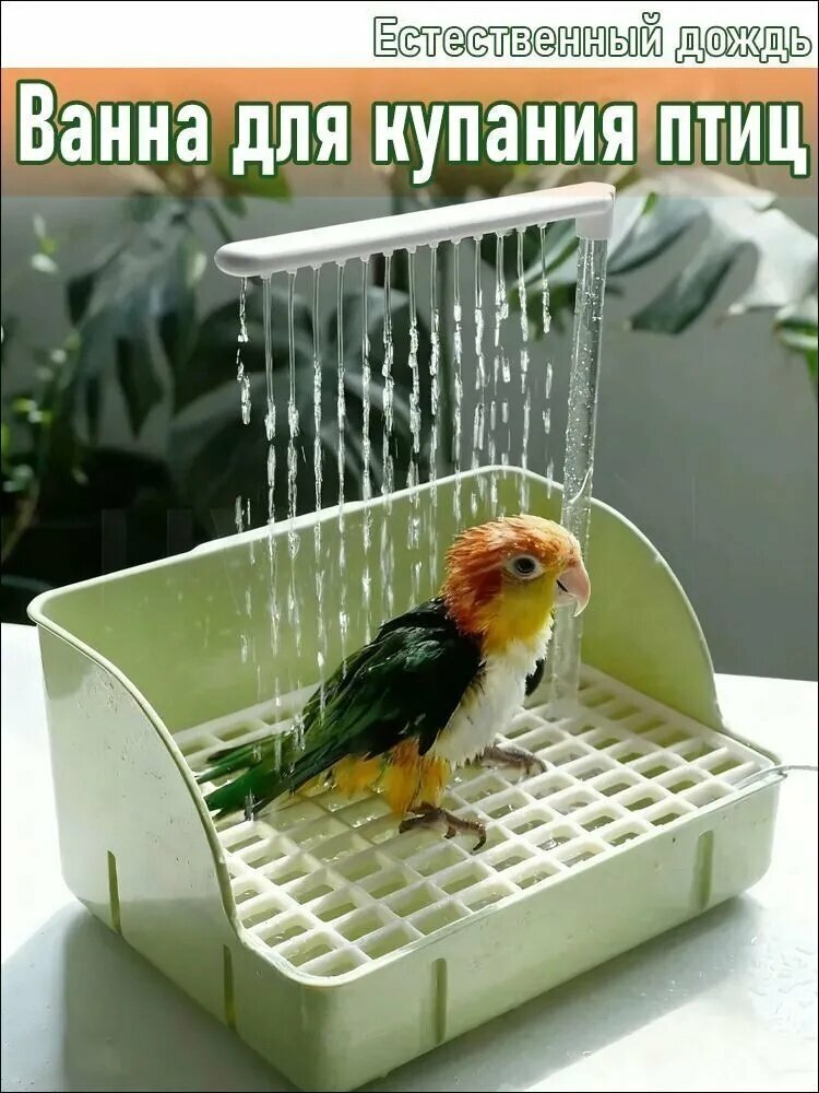 Купалка для попугаев с автоматической циркуляцией воды, большая ванночка для птиц, для корелл, неразлучников, майн и волнистых