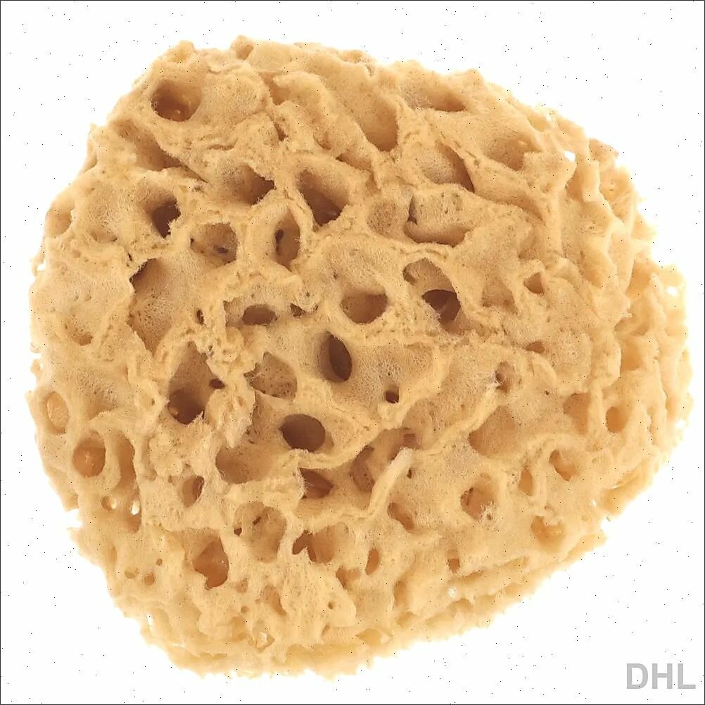 Натуральная морская губка, обеспечивающая мягкое очищение кожи, с экстрактом водорослей, объем 10x8x6 см